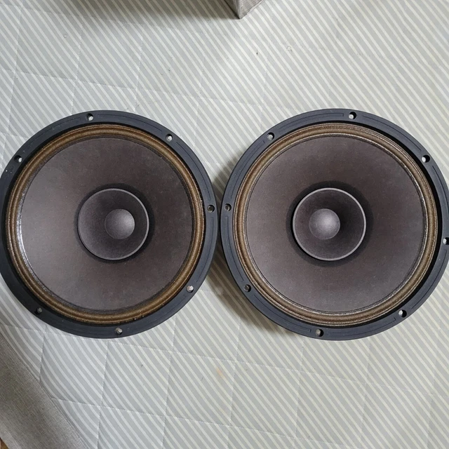 FOSTEX PS300 30CM Double Cone Full-Range Speaker Pair 12 inch ...