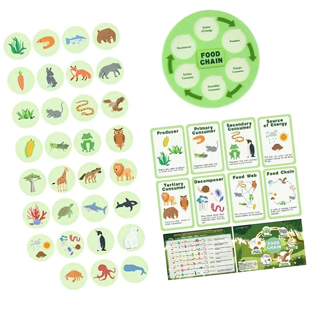 LIFE CYCLE KIT,FOOD Chain Fun Learning Party Favors,Education Toys ...