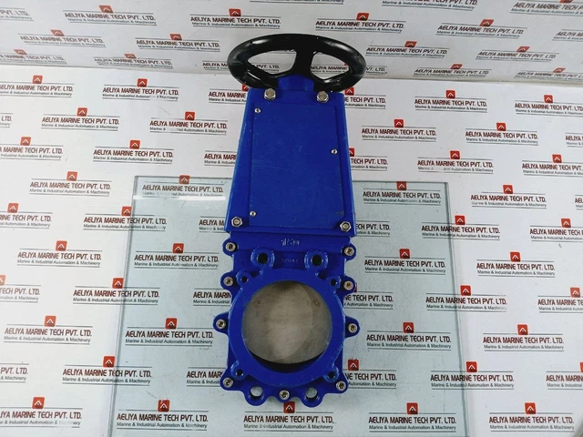 RAMUS CHAMBERY VGR Bi-Directional Sealing Gate Valve DN150 PN10 2,5 Bar $3,029.21 - PicClick CA