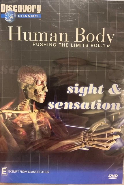 DISCOVERY CHANNEL : The Human Body - Sight And Sensation NEW region 4 ...