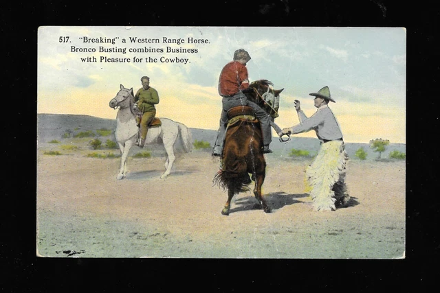 BRONCHO BUSTING POST Card with 13 Star Flag Cancel 1913 $2.00 - PicClick