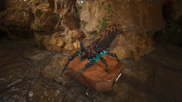 ARK SURVIVAL ASCENDED - ASA - PVE PC/XBOX/PS5 Rhyniognata (rhynio) Haut ...