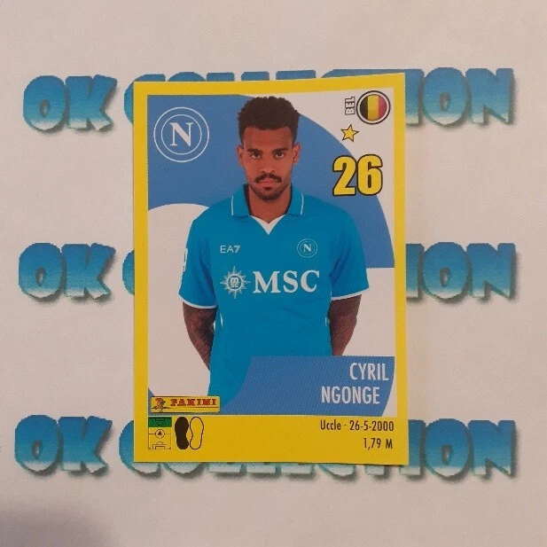 CALCIATORI PANINI CAMPIONATO 2024/2025 : Figurina Napoli Giovanni ...
