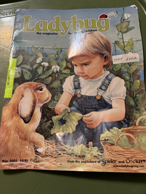 🐞 LADYBUG MAGAZINE Vintage Back Issue May 2002 £3.81 - PicClick UK