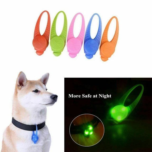 LED DOG NIGHT LIGHT UP Collar Pendant Tag Flashing Pet Puppy Luminous ...