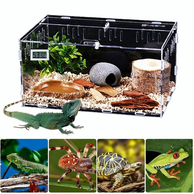 CLEAR ACRYLIC REPTILE Tank Spider Lizard Breeding Box Insect Snake Pet ...