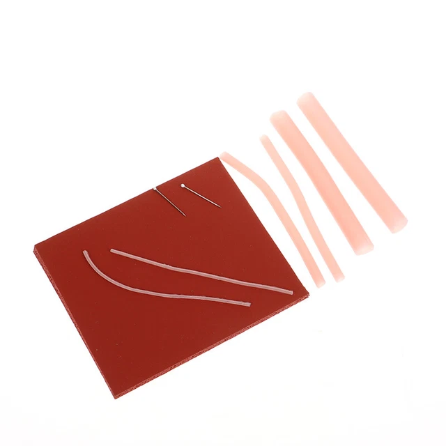 SIMULATED VASCULAR SYSTEM Model Human Simulated Blood Vessel ModH1 £11. ...