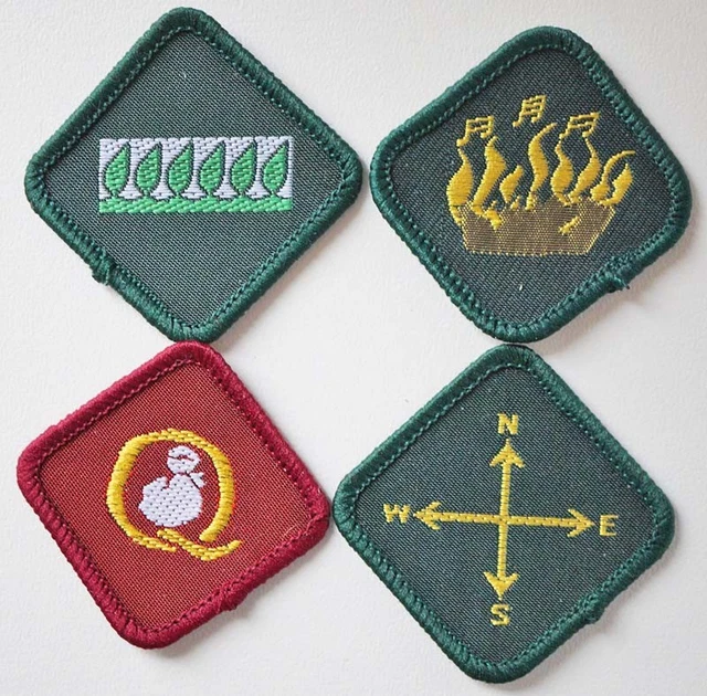4 IRISH SCOUT Merit Badges Ireland Scouting CBSI Catholic Boy Scouts £1 ...