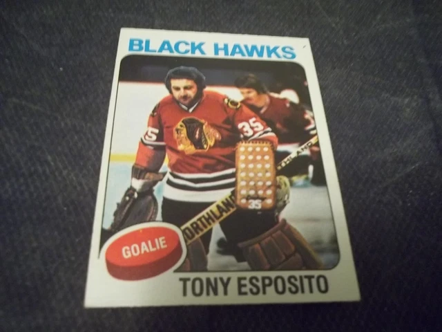 1975-76 OPC O-PEE-CHEE #240 Tony Esposito faucons noirs - ex/ex+ EUR 6 ...
