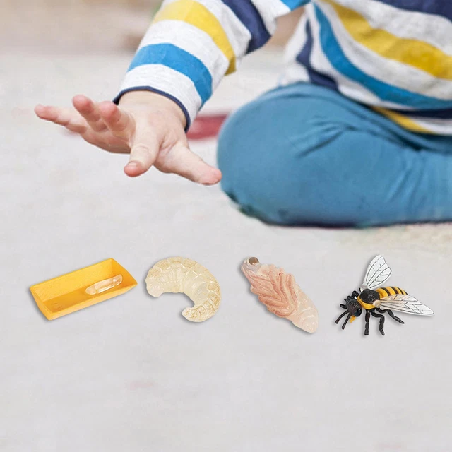 LIFE CYCLE OF Bee Toys Animal Growth Cycle Figures Puzzle Teaching ...