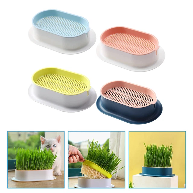 4 PZ PIANTAERBA in plastica fioriera erba gatta senza suolo per gatti ...