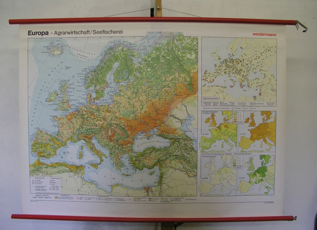 SCHOOL WALL MAP beautiful old wall map Europe forests lake fishing ...