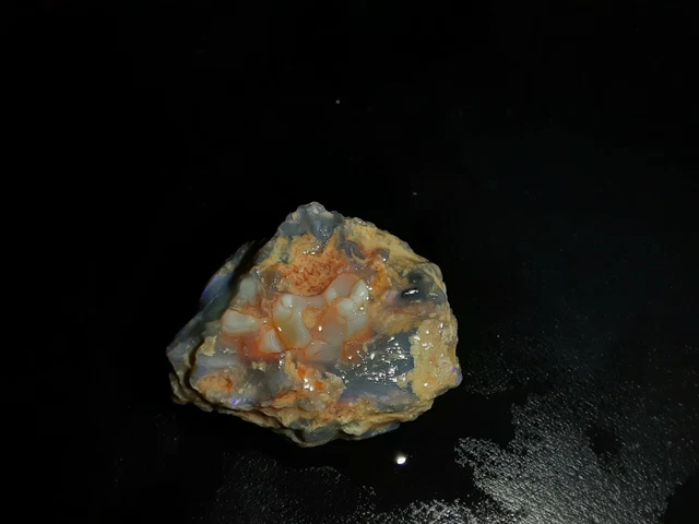 FOSIL DIENTE EN Opalo, Tooth Fossil In Black Opal From Lightning Ridge ...