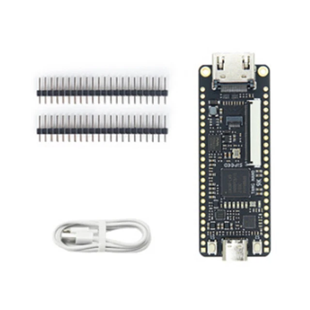 9K FPGA-ENTWICKLUNGSBOARD GW1NR-9 RISC-V -Kit V7B49567 EUR 22,60 ...