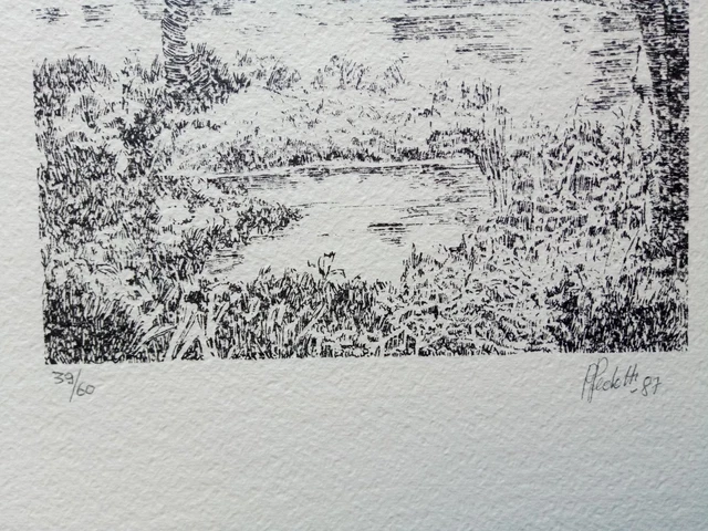 PEDOTTI LITOGRAFIA FIRMATA paesaggio arte figurativa quadro arredo lago ...