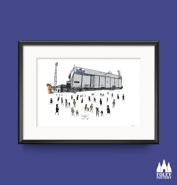 A4: FOOTBALL STADIUM, Football ground, illustration art print Foley ...