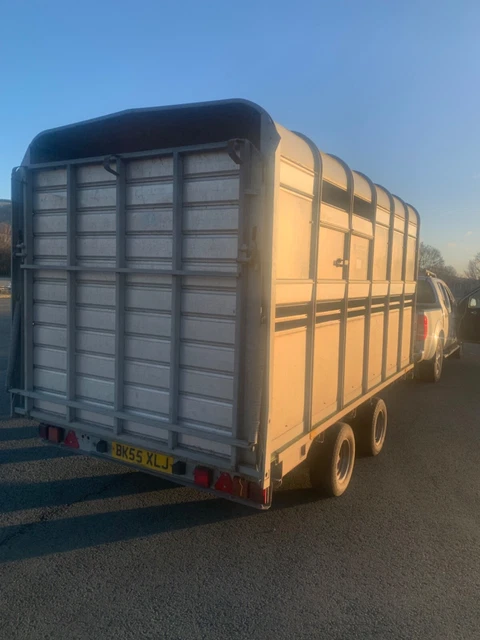 IFOR WILLIAMS DP120 livestock trailer £1,850.00 - PicClick UK