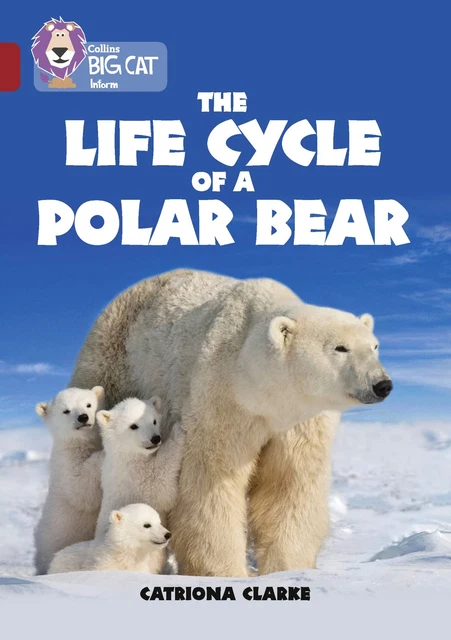 LIFE CYCLE OF A Polar Bear Band 14ruby by Catriona Clarke | Paperback ...