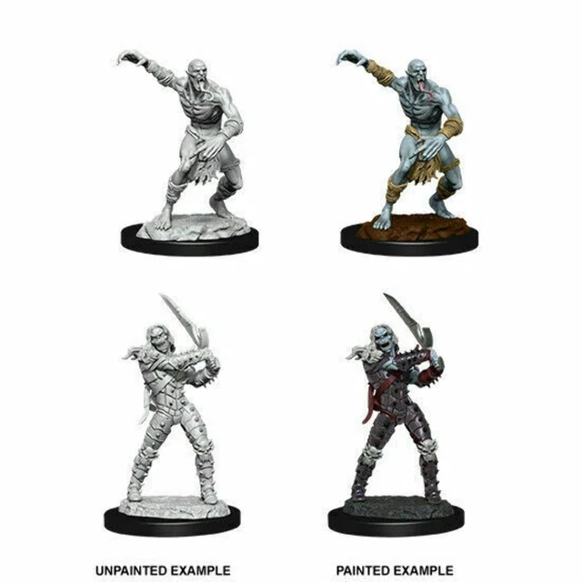 D&D NOLZUR'S MARVELOUS Miniatures - Wight & Ghast - Unpainted EUR 7,25 ...