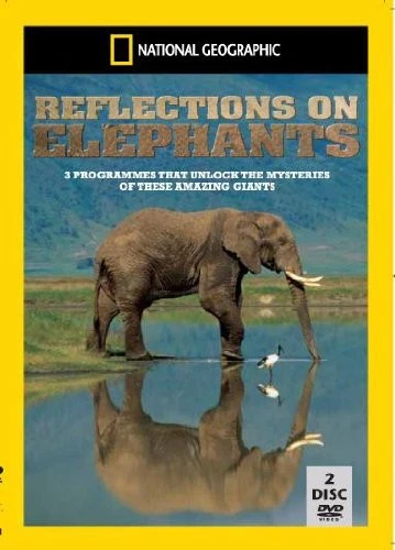 NATIONAL GEOGRAPHIC: REFLECTIONS On Elephants (DVD) EUR 14,00 - PicClick IT