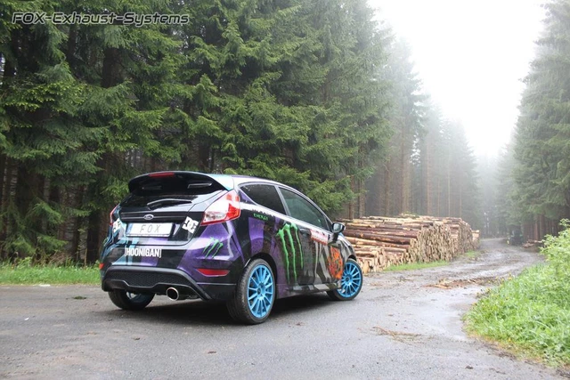 INOX SPORTAUSPUFF-KOMPLETTANLAGE FORD Fiesta St MK7 JA8 129x106mm Ovale ...