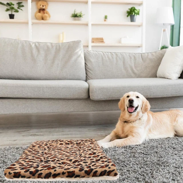 TRAININGSPAD HUNDE-, WELPEN- Katzenmatte Hundedecke Waschbar ...