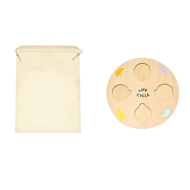 LIFE CYCLE TRAY Flash Cards Montessori Life Cycle Tray for Children £17 ...