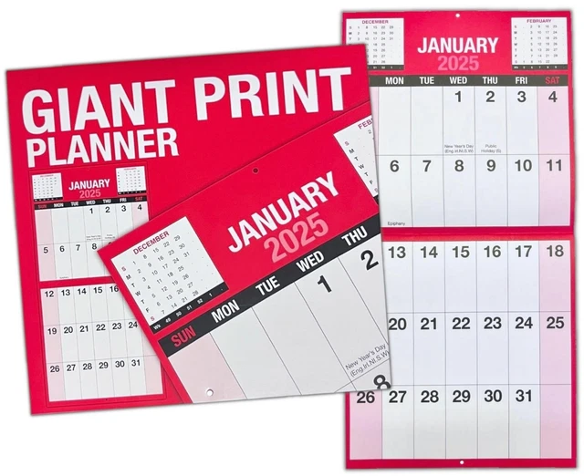 2025 GIANT VIEW Month To View Commercial Giant Print Full Year Planner ...