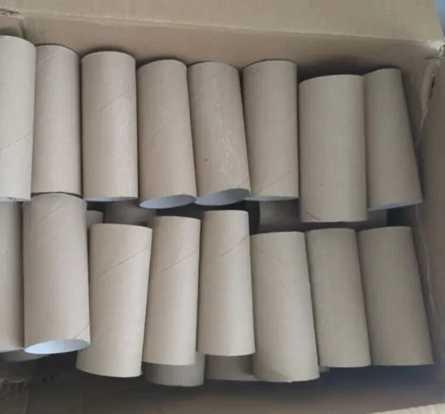 22 X EMPTY Toilet roll tubes, for Arts/Crafts, gardening seedlings ...