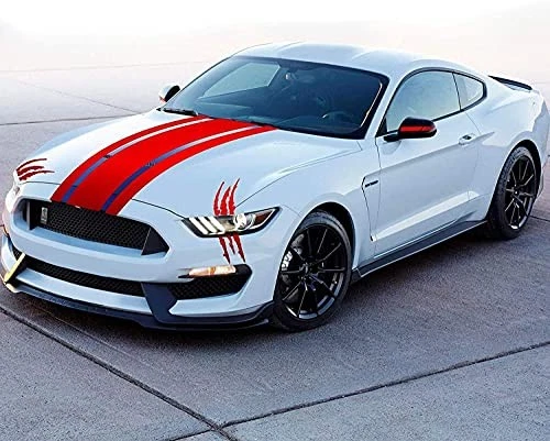 50&X 10& CAR Hood Stripe Sticker Auto Racing Body Side Skirt Roof Hood ...