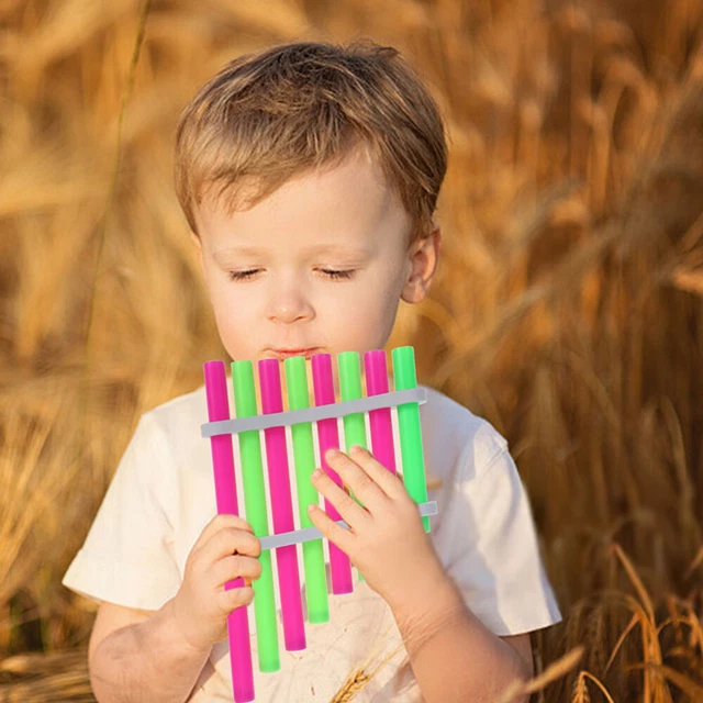 2 SETS SCIENCE Experiment Mini Pan Flute Toy Diy Small Instrument ...
