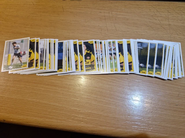DYNAMO DRESDEN STICKER REWE Sammelalbum normale Sticker EUR 1,00 ...