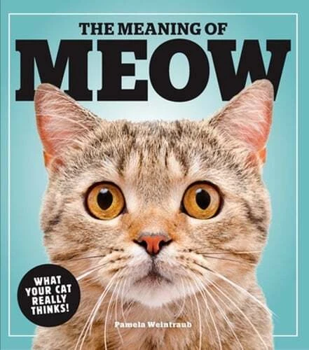 THE MEANING OF Meow: What Your Cat Really Thinks! by Pamela Weintraub ...