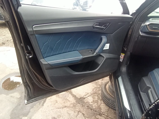 CUPRA FORMENTOR V2 eHybrid 2022 Front Door Interior Card Panel N/S/F ...