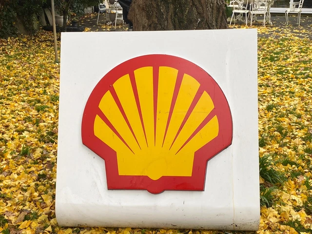 LARGE SHELL ILLUMINATED Petrol Oil Advertising Old Garage Dealer ...