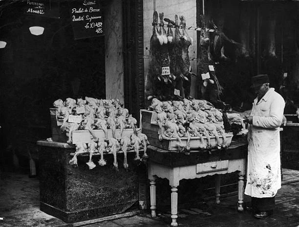 POULTERER IN PARIS In The 1930s Historic Old Photo EUR 6,60 - PicClick FR