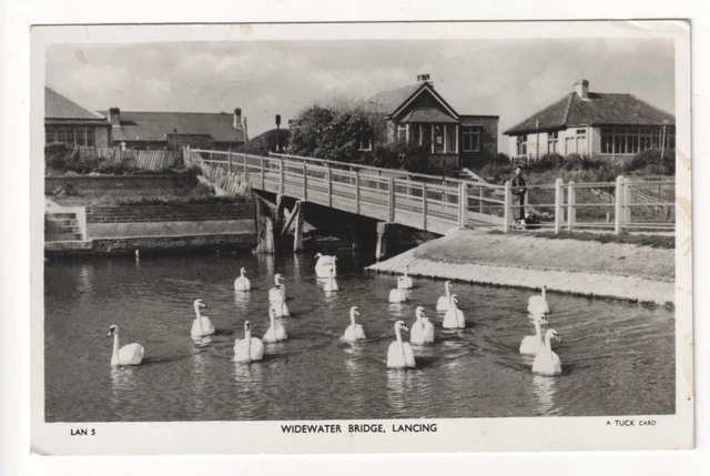 Collectables - PicClick UK