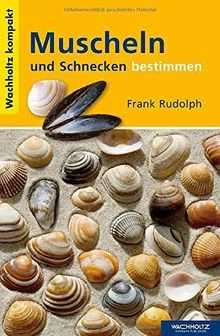 MUSCHELN UND SCHNECKEN bestimmen. Kompakt de Frank Ru... | Livre | état ...