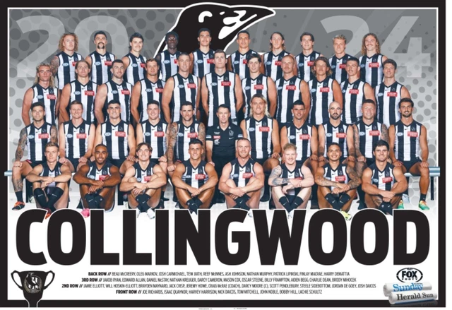 COLLINGWOOD MAGPIES LAMINATED AFL FOOTBALL PREMIER TEAM player POSTER ...