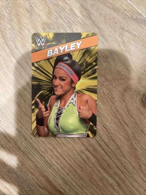 RARE WWE ARCADE Game WWE Wrestling Plastic Andamiro Show Card ...