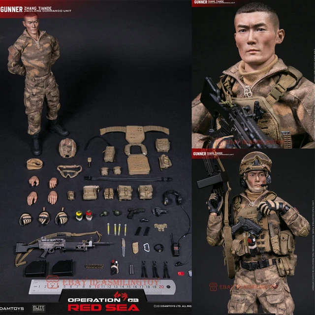 FIGURINE ARTICULÉE 1/6 DAMTOYS DMS007 Operation Red Sea Gunner Zhang Tiande Jiaolong EUR 241,91 ...