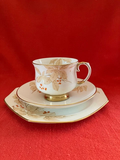 ANTIQUE C 1923 Paragon Star China hand painted trio pattern F2007 set ...