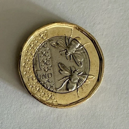 CHARLES III BEE 2025 £1 Coin £1.44 - PicClick UK