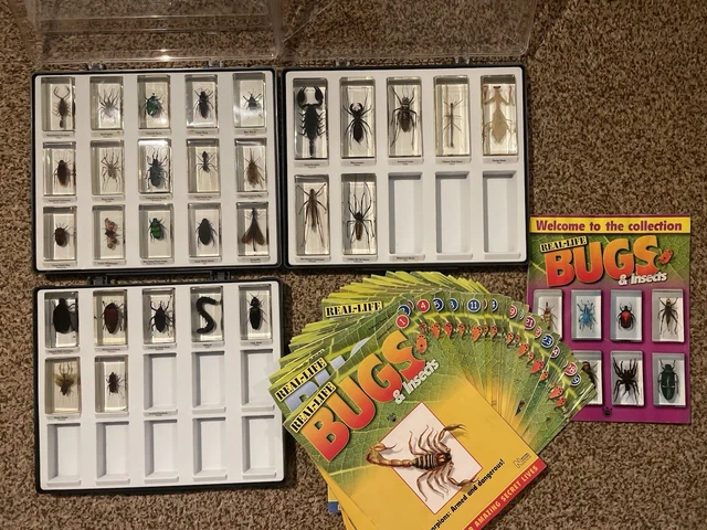 NATIONAL GEOGRAPHIC REAL-LIFE Bugs & Insects -29 Specimens & 32 ...