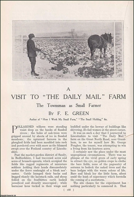 A VISIT TO The Daily Mail Farm, Lincolnshire : The Townsman As Small ...