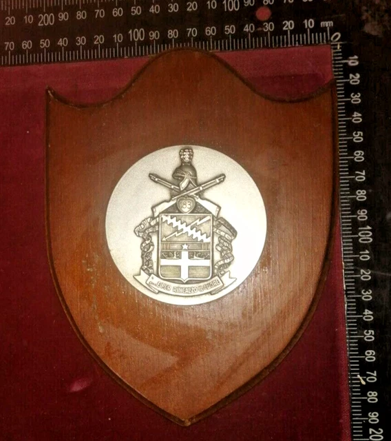 CREST PARACADUTISTI 183° Battaglione Nembo Brigata Folgore Anni 70-80 ...