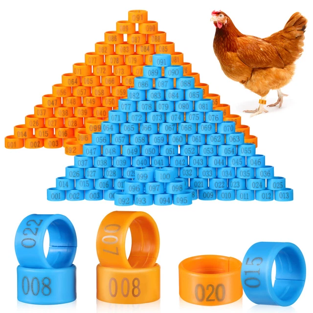 200 PCS CHICKEN Ankle Ring Poultry Foot Rings Numbered Pigeon Leg £16. ...