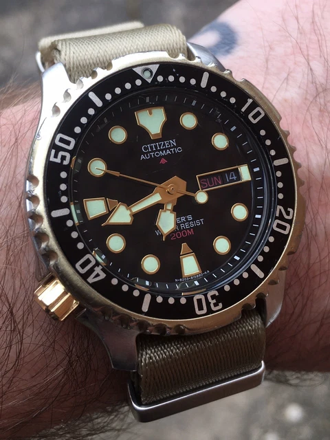 CITIZEN PROMASTER SEA 8203 Calibre Automatic Analogue Diver Style Watch ...