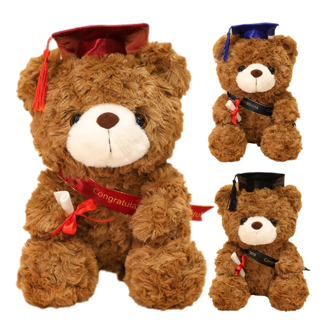 GRADUATION TEDDY BEAR Gift Class of 2022 Grad Bear Plush Stuffed Animal ...