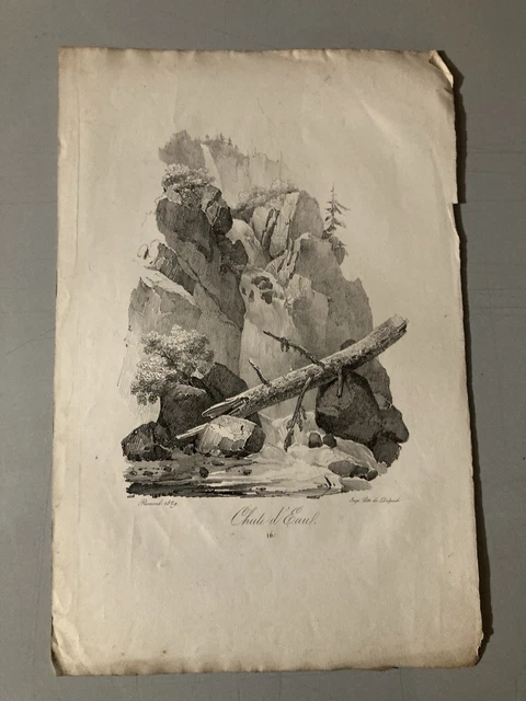 VERY BEAUTIFUL ENGRAVING Tree Art Trunk Delpech Remond 1829 Lithograph ...